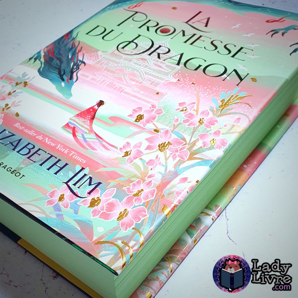 La Promesse Du Dragon